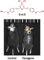 Microsoft Word – Graphical abstract | The He Group 贺晓鹏团队